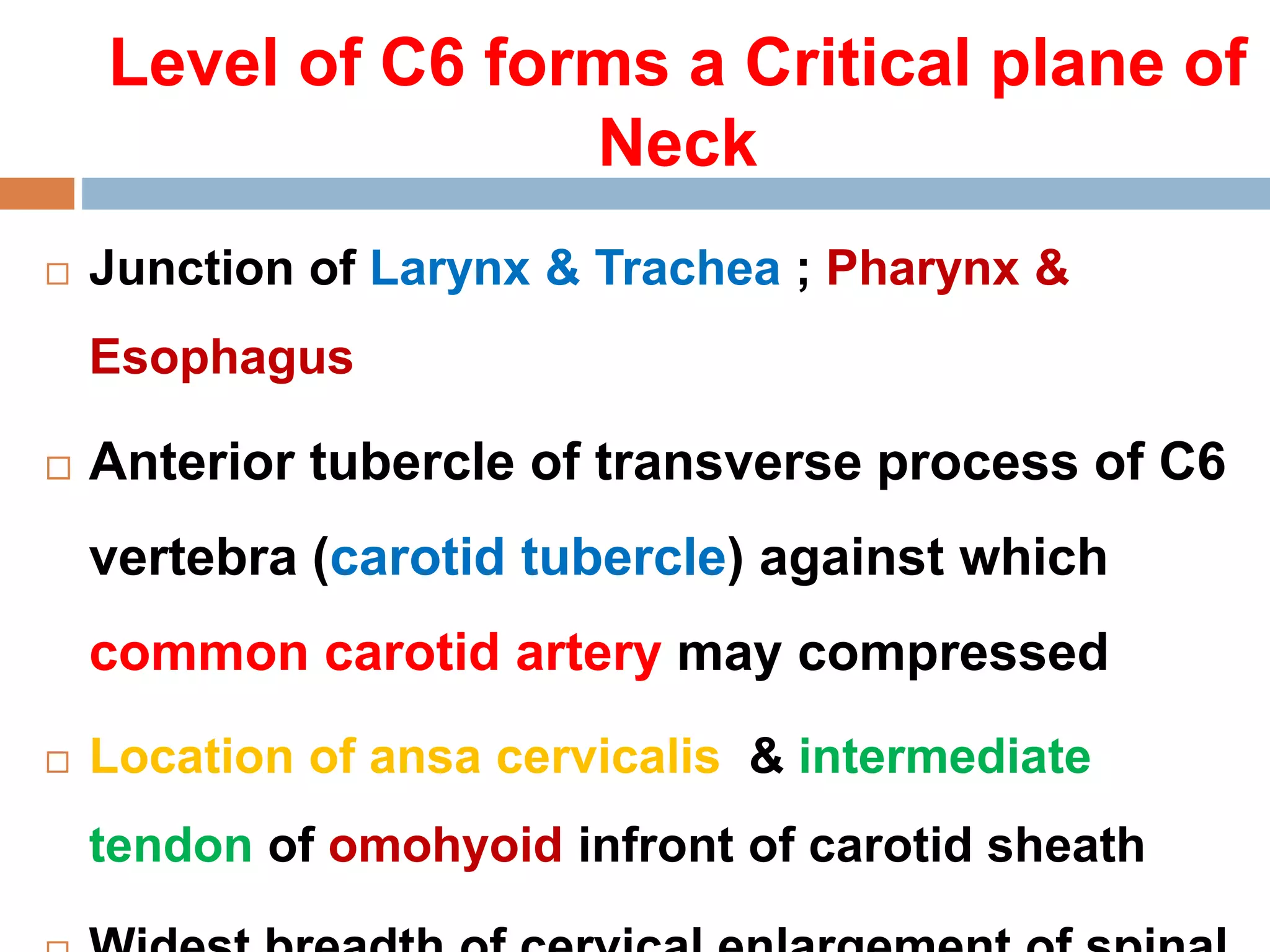 I BDS 2019-20 Anterior median region of neck.pptx