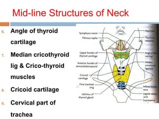 I BDS 2019-20 Anterior median region of neck.pptx