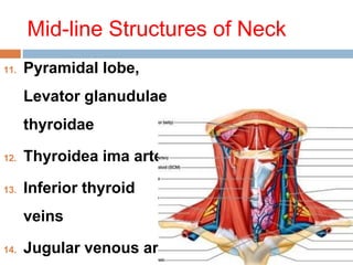 I BDS 2019-20 Anterior median region of neck.pptx