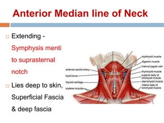 I BDS 2019-20 Anterior median region of neck.pptx