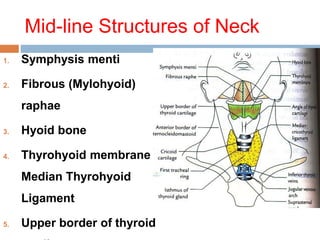 I BDS 2019-20 Anterior median region of neck.pptx