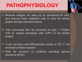 INFLAMMATORY BOWEL DISEASE | PPTX