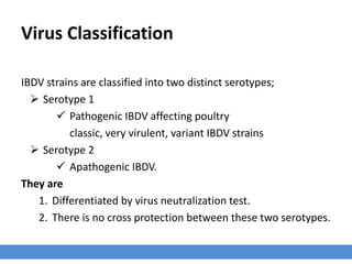 IBD_The Virus | PPTX
