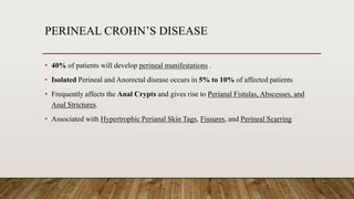 Inflammatory Bowel Disease | PPTX