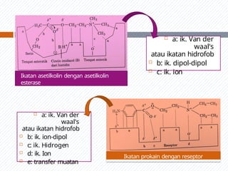 Ibe Hubungan struktur, ikatan kimia dan aktivitas biologis obat ...