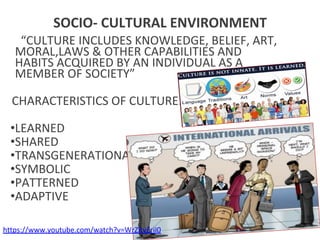 IB Environment PPT of International Business | PDF