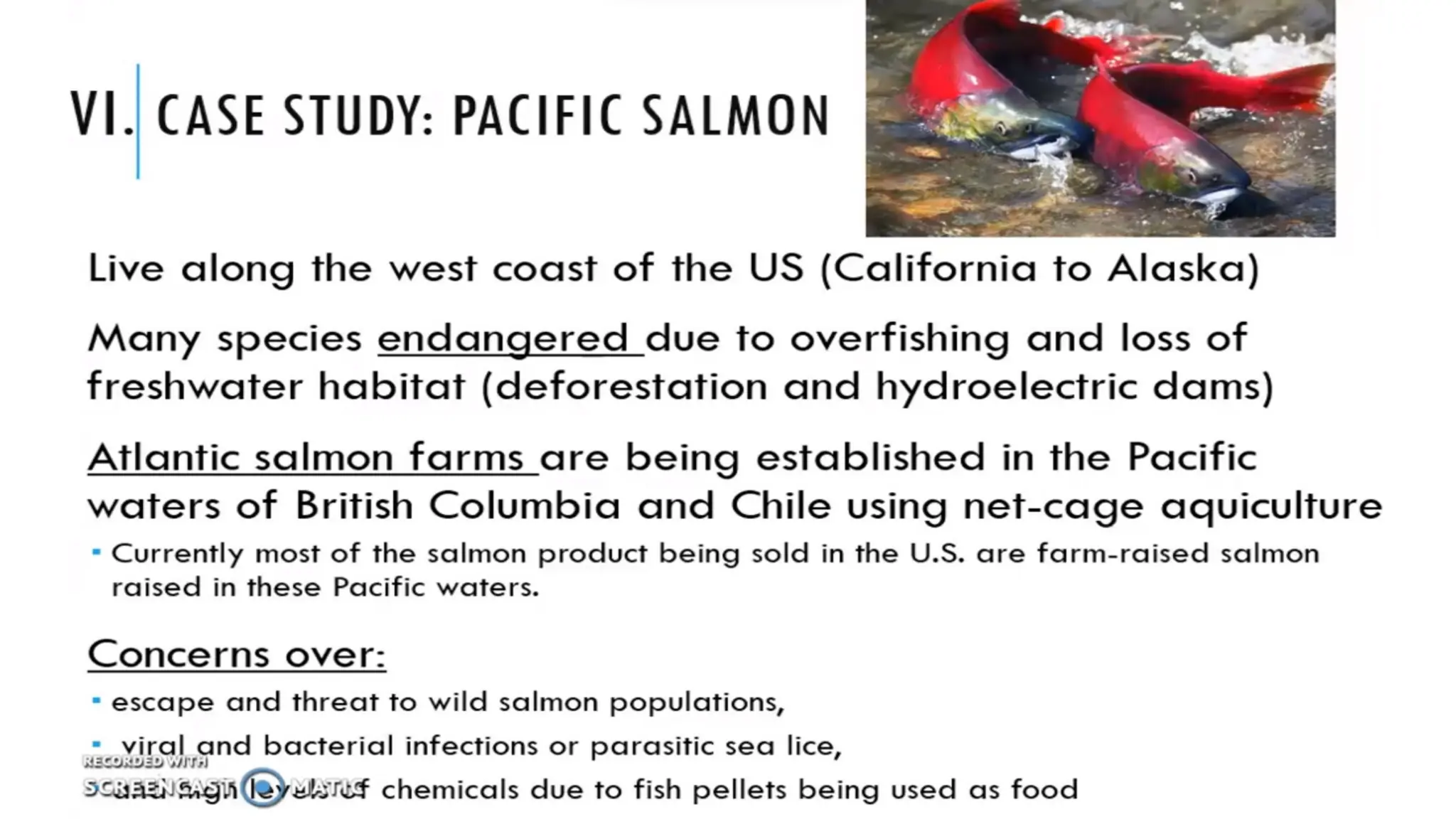 IB ESS unit 4.3 aquatic food resources.pptx