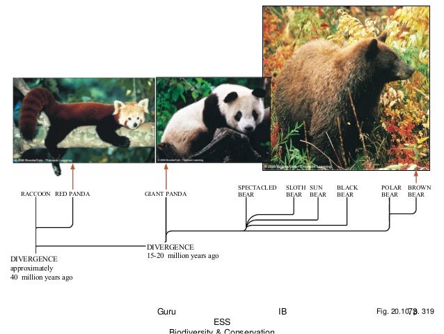 IB ESS Topic 4: Conservation and biodiversity