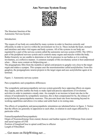 Ib Extended Essay Visual Art Examples | PDF