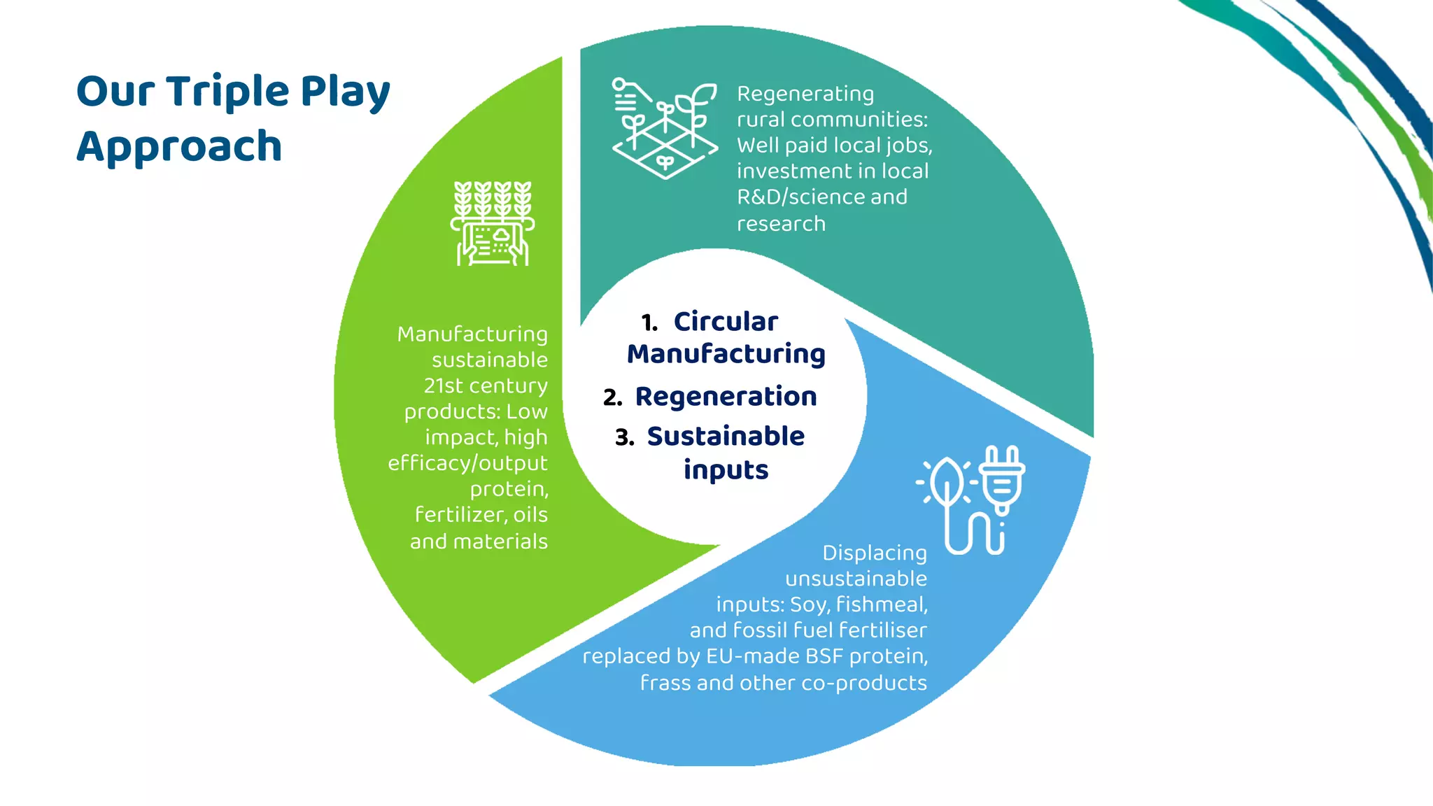 Introduction to the InsectBioTech Group | PDF