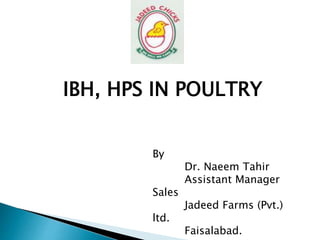 IBH, HPS in poultry | PPTX