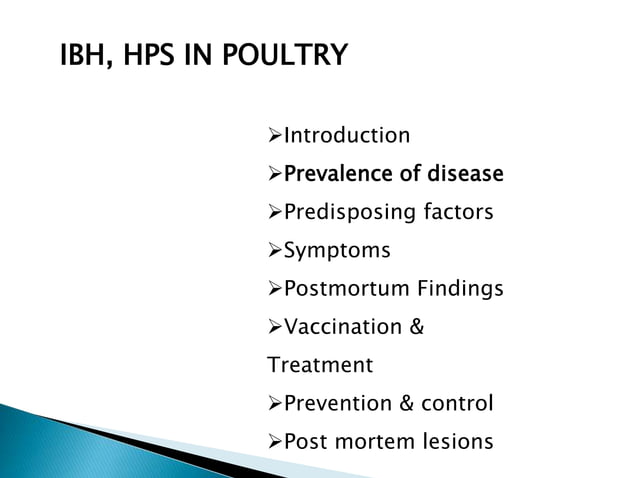 IBH, HPS in poultry | PPTX | Infectious Diseases | Diseases and Conditions