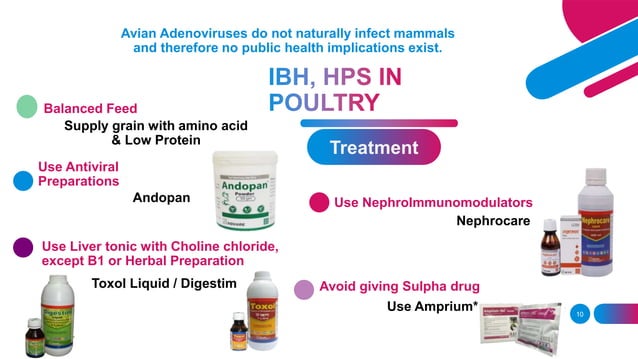 IBH in Poultry Dr. KHM | PPTX