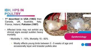 IBH in Poultry Dr. KHM | PPTX