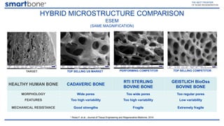 SmartBone: the innovative bone substitute for oral surgery and ...