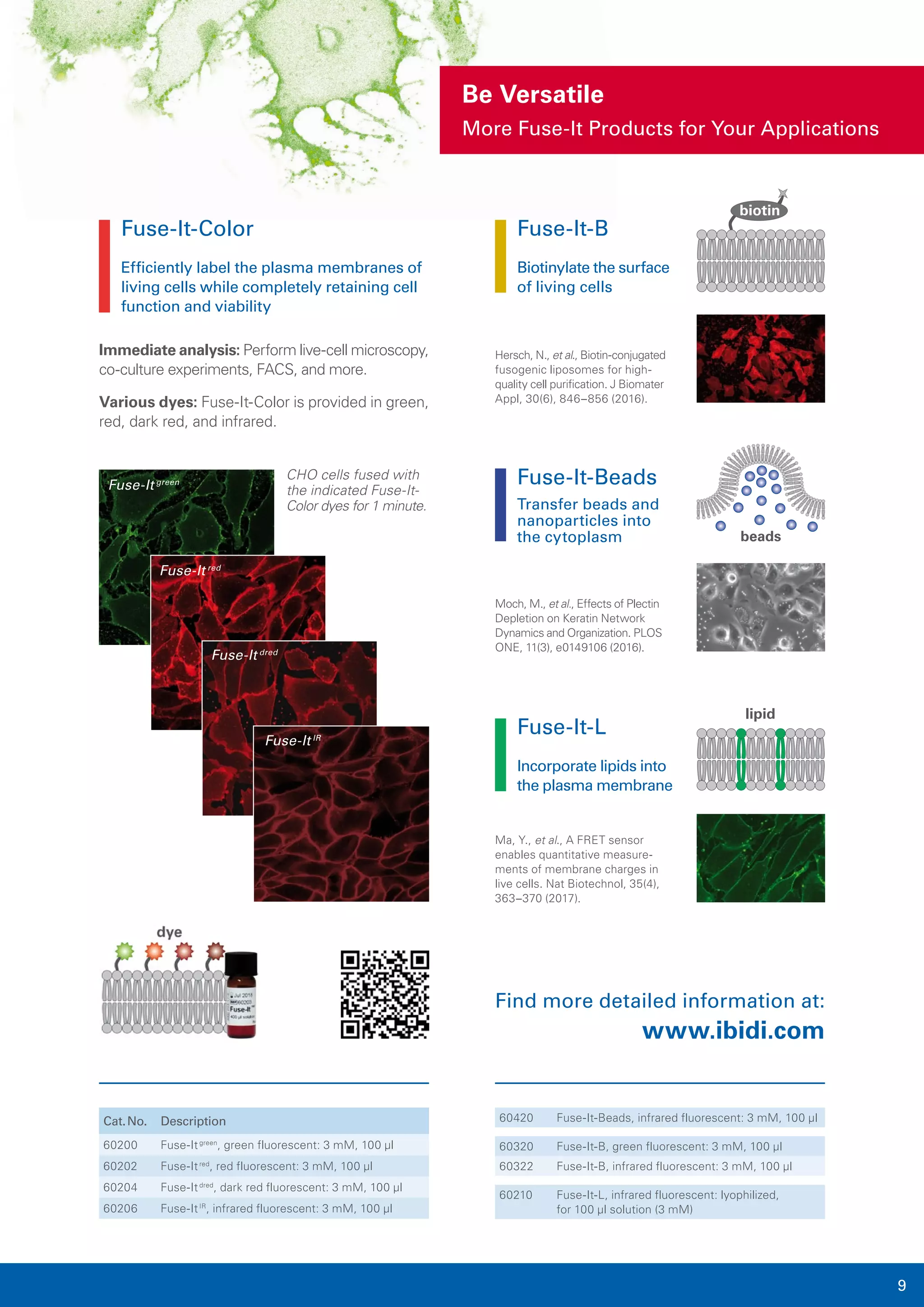 Ibidi membrane fusion | PDF