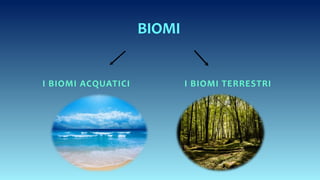 I biomi marini | PPTX