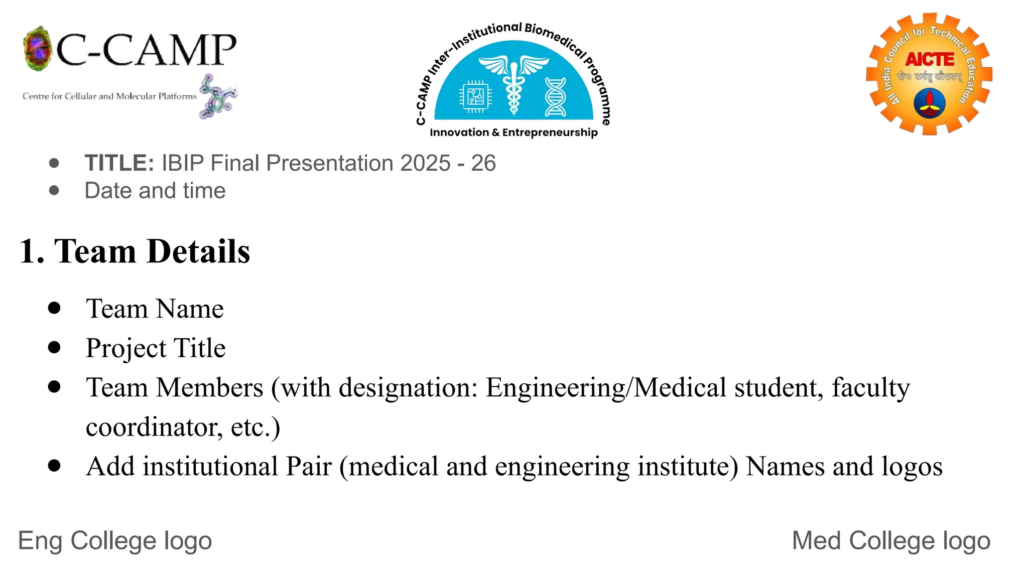 IBIP Final Presentation templassste.pptx