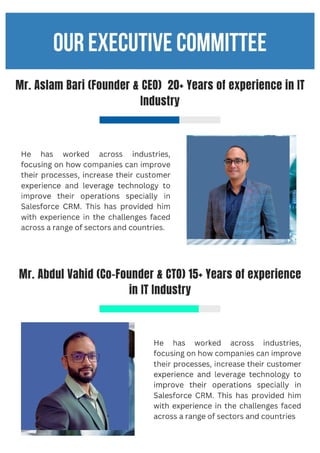 iBirds Services - Comprehensive Salesforce CRM and Software Development ...