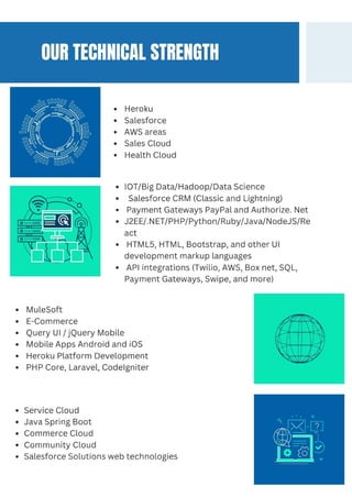 iBirds Services - Comprehensive Salesforce CRM and Software Development ...