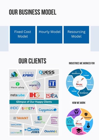 iBirds Services - Comprehensive Salesforce CRM and Software Development ...