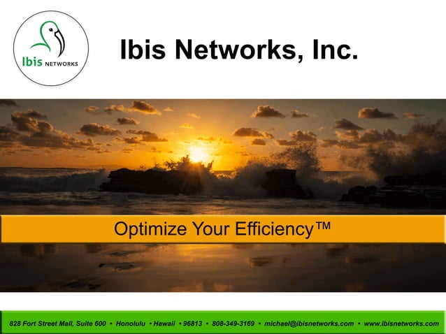 Ibis networks EastMeetsWest | PDF | Business | Business and Finance
