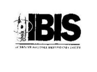 IBIS | PPTX
