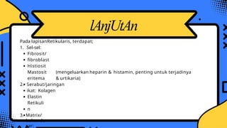 IBM-ANATOMI SISTEM INTEGUMEN PADA MANUSIA.pptx