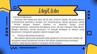 IBM-ANATOMI dan FISIOLOGI SISTEM INTEGUMEN.pptx