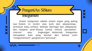 IBM-ANATOMI dan FISIOLOGI SISTEM INTEGUMEN.pptx