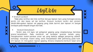 IBM-ANATOMI dan FISIOLOGI SISTEM INTEGUMEN.pptx