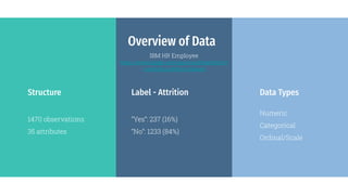 IBM Attrition Presentation Deck.pdf