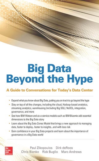 IBM Big Data Beyond the Hype | PDF