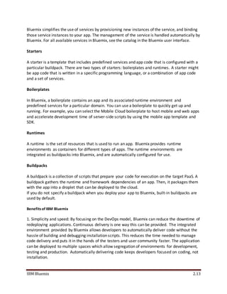 Ibm bluemix | DOCX