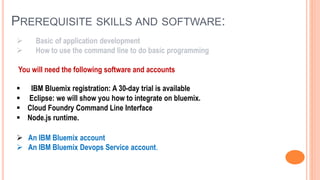 IBM Bluemix Presentation.pptx