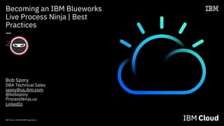 Blueworks Live Best Practices | PDF