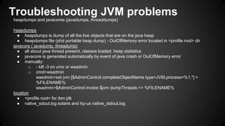 Ibm bpm problem determination | PPTX