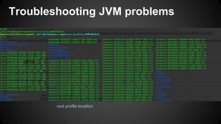 Ibm bpm problem determination | PPTX