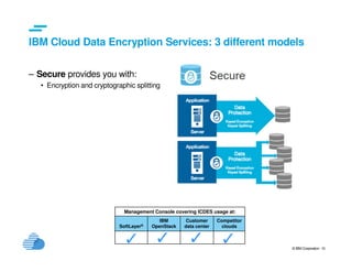 IBM Cloud Data Encryption Services | PDF