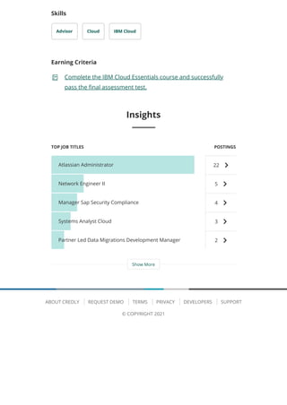 IBM Cloud Essentials | PDF