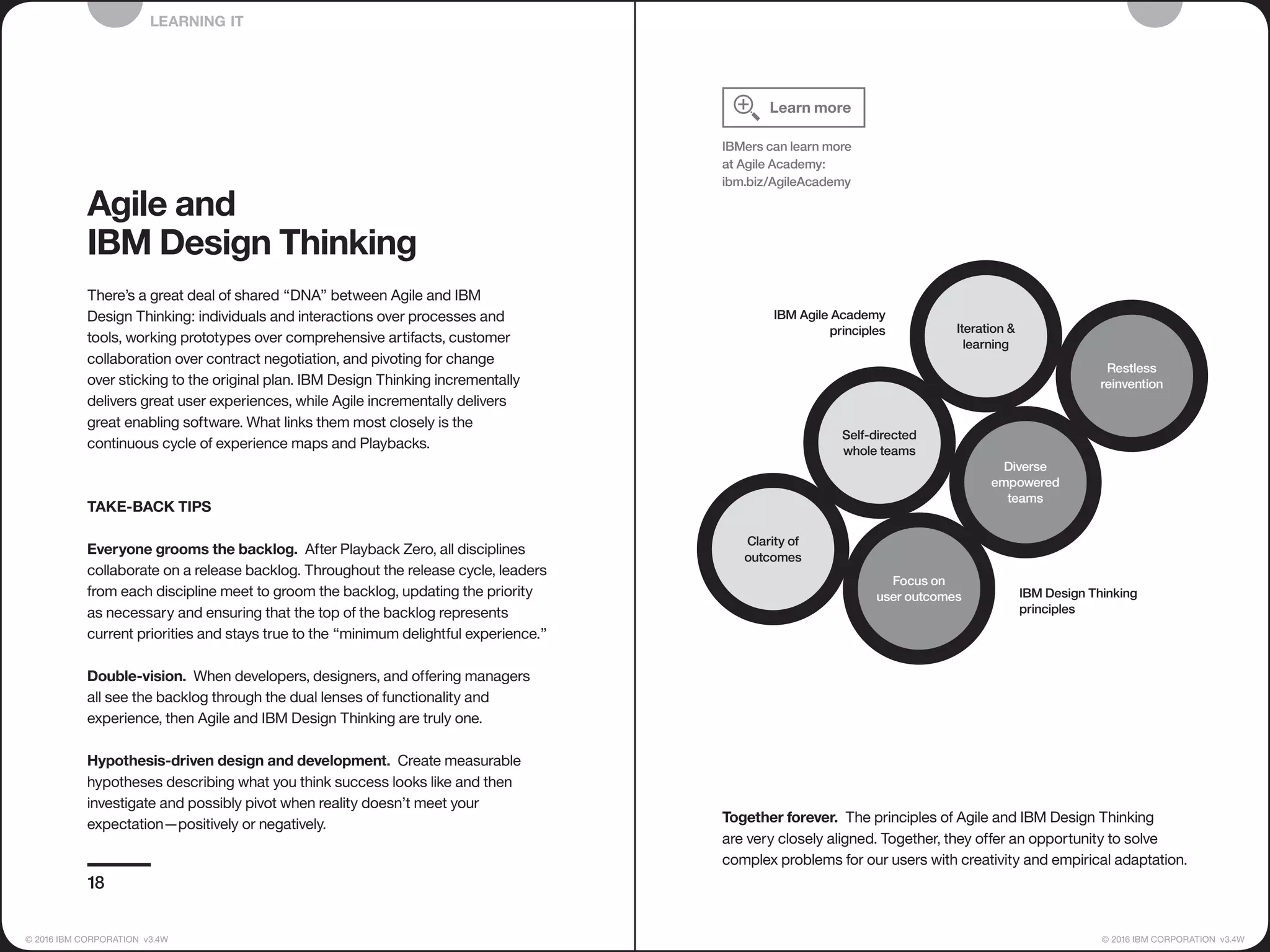 IBM Design Thinking field guide | PDF