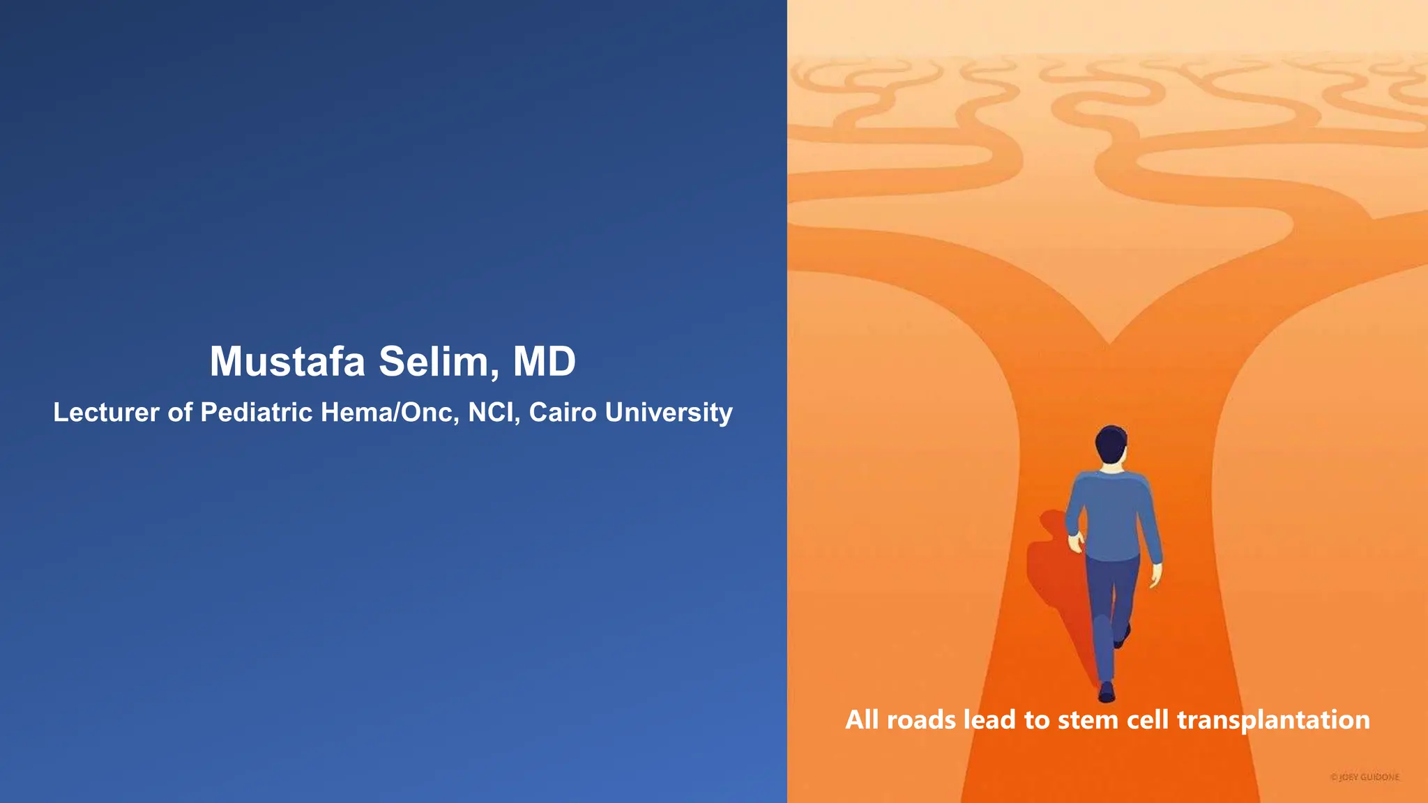 Inherited Bone Marrow Failure Syndromes (IBMFS) - for slide share.pptx