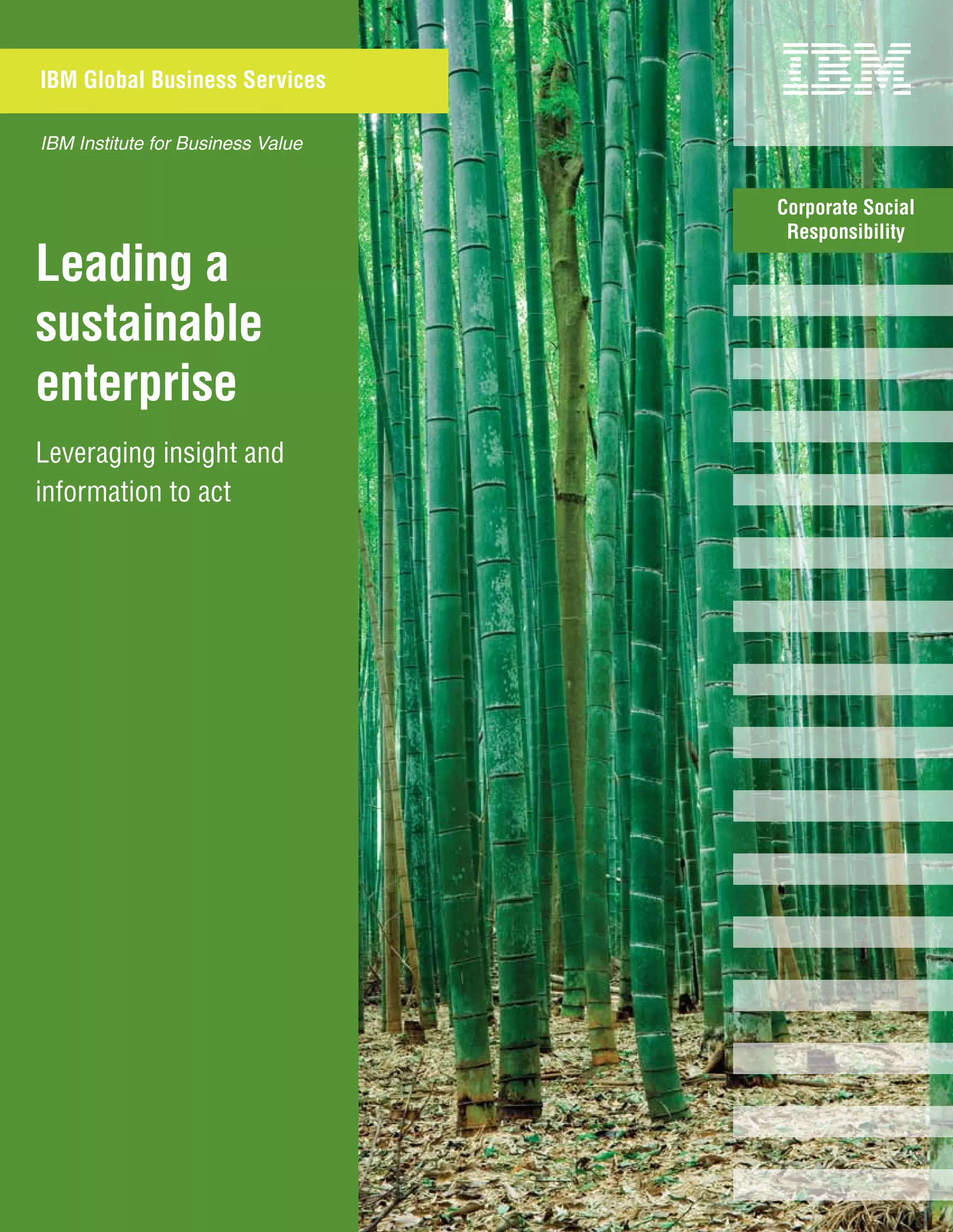 IBM Leading Sustainable Enterprise | PDF