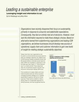 IBM Leading Sustainable Enterprise | PDF