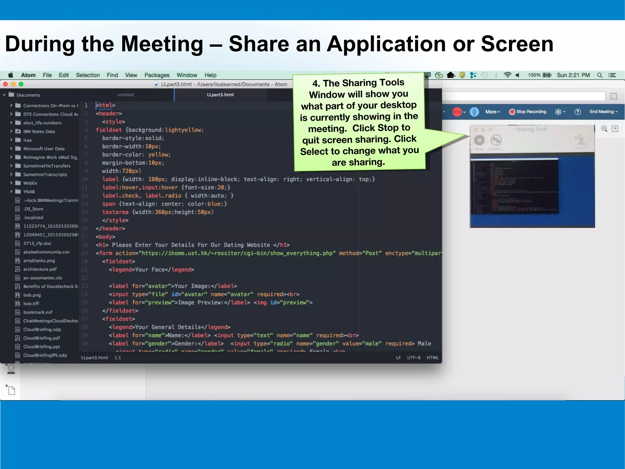 IBM Meetings Training | PPT | Web Conferencing | Computer Software and ...
