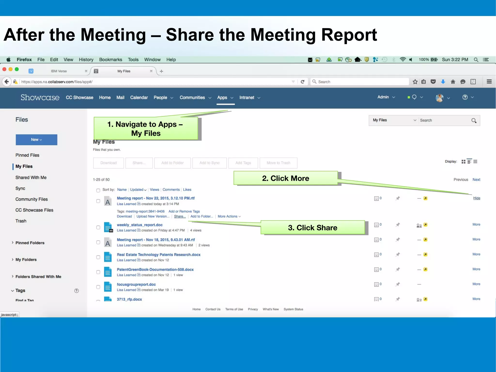 IBM Meetings Training | PPT | Web Conferencing | Computer Software and ...