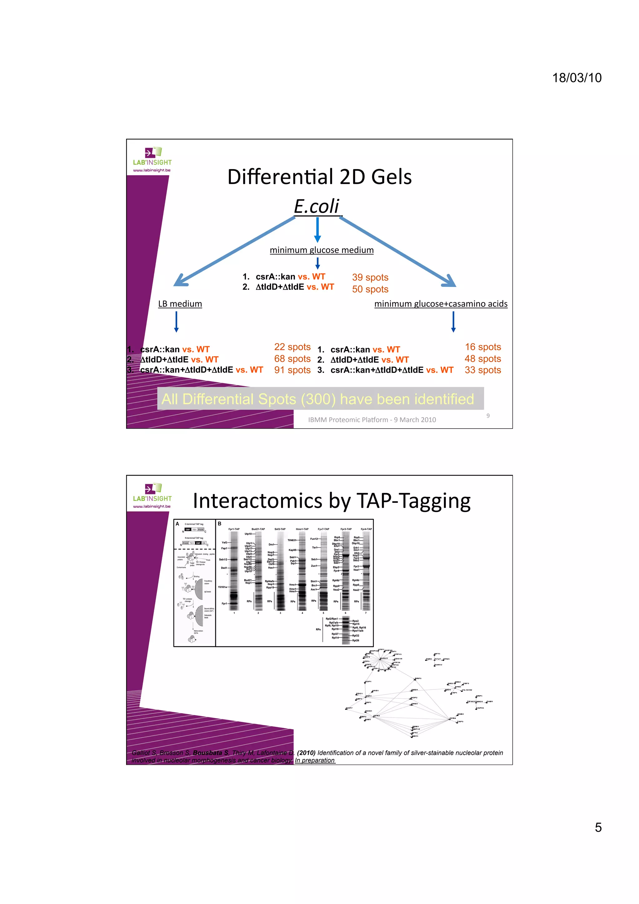 IBMM Proteomic Platform - ULB - Lab'InSight Proteomics | PDF