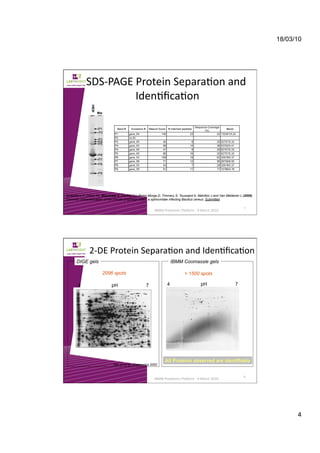 IBMM Proteomic Platform - ULB - Lab'InSight Proteomics | PDF