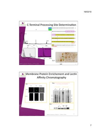 IBMM Proteomic Platform - ULB - Lab'InSight Proteomics | PDF