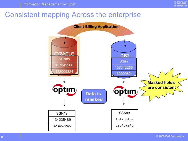 Ibm Optim Techical Overview 01282009